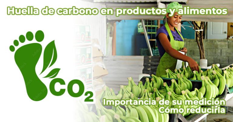 Cómo reducir la huella de carbono – Carbono Neutral